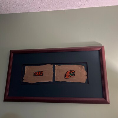 FAMU COLAC Iron-on Patch - Etsy