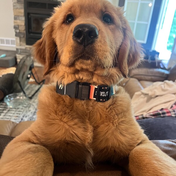 Fi Series 2 Collar Adapter - Etsy