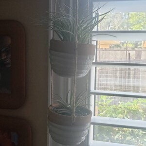 Preserved Reindeer Moss Chestnut - Etsy