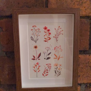 Coastal Shells Art Postcard Seashells and Wildflowers | Etsy