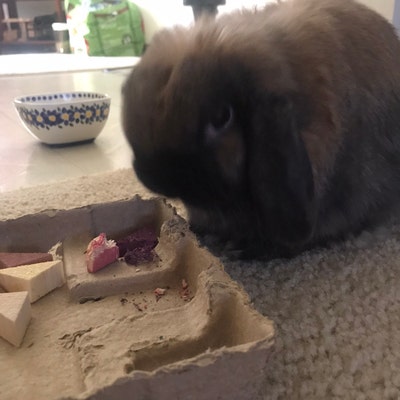 Tiny Flavored Balsa Triangles pkg of 20 Fruit Flavored Chew - Etsy