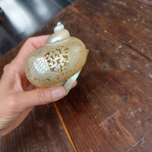 Hand Carved Pearl Mussels Shell Large Sizewith - Etsy