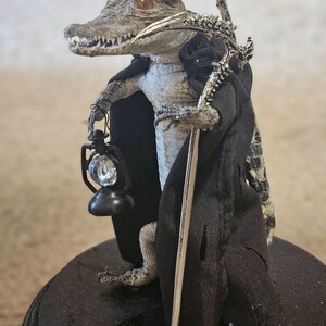 Oddities & Curiosities Mystery Box 5 Lot Haunted Paranormal Creepy Wet ...