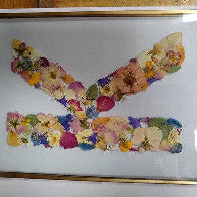 Pressed Tulip Flower Frame Real Tulip Artwork. - Etsy