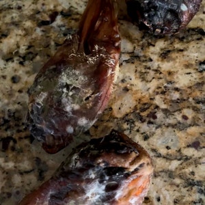 Rabbit Feet Dehydrated 5 Pack Hair on Treats Chews Bone Ear - Etsy