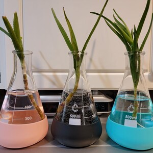 Chemistry Beaker Double-wall Coffee Mug Science Gifts for Teachers ...