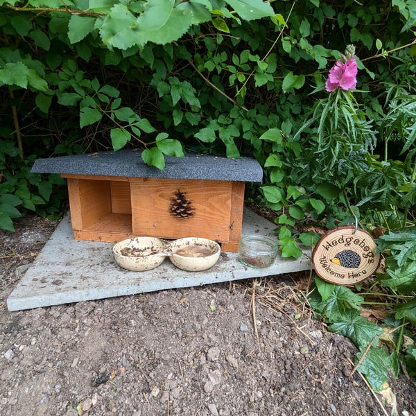 Feral Stray Outdoors Cat House Kennel Shelter Cat Den - Etsy UK