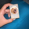 Custom Pet Pin Personalized Dog Acrylic Brooch Custom Cat Photo Jewelry ...
