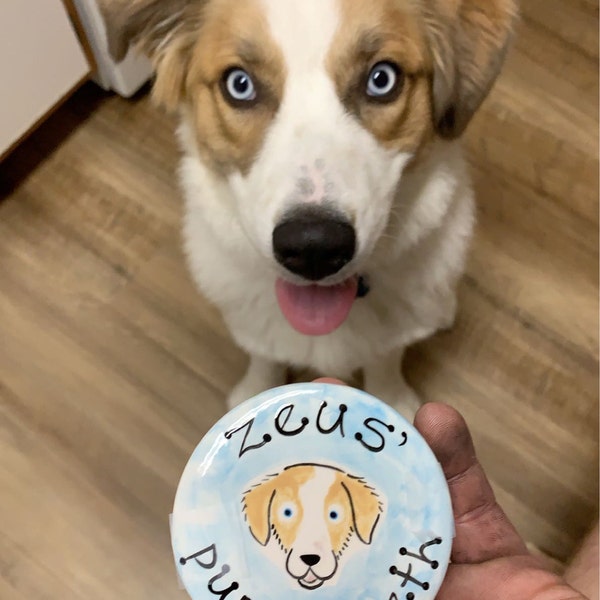 New Puppy Tooth Box / Puppy Teeth Box / Custom Pet Gift / Personalized ...