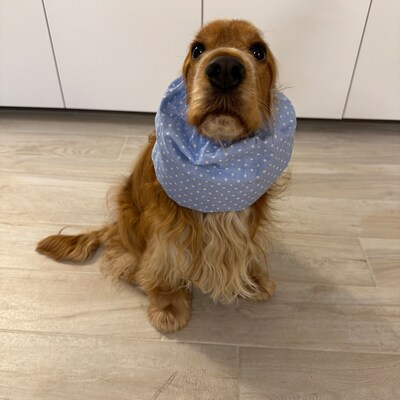 Waterproof Dog Snood Cocker Spaniel Snood Basset Hound Snood Setter ...