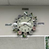 Plants & Foliage Complete Classroom Display Bundle | Natural Boho ...