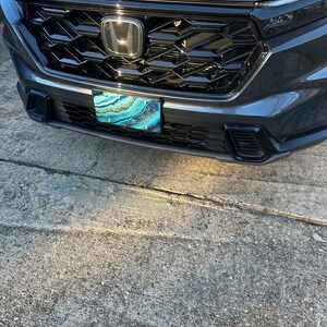 Hand Drawn Flower Field License Plate Black and White - Etsy