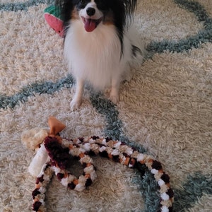 Custom Handmade Fleece and Minky Dog Leash - Etsy