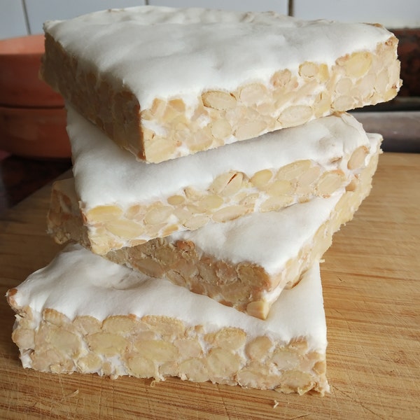 Soy-free Organic Tempeh Starter Culture - 100g, Rhizopus Oligosporus ...