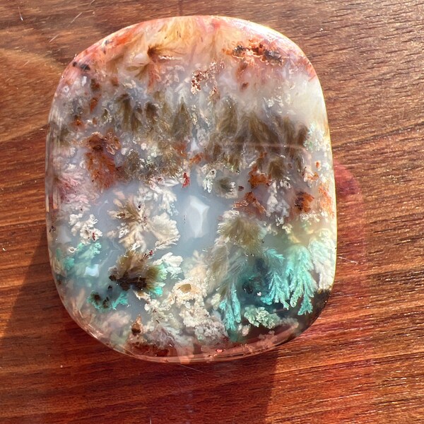 Amazing Landscape Plume Agate Stone .rare Plume Agate Rough, Agate ...
