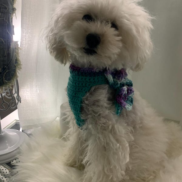 Crochet Dog Harness, 100% Cotton, Handmade Crochet Dog Harness, Crochet ...