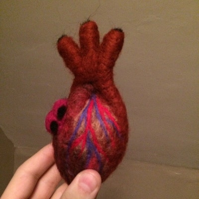 Heartfelt anatomical Heart Human Scale - Etsy