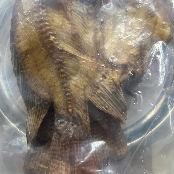 African Dried Bream Fish: Zambia Kafue & Luangwa Rivers - 6 Pieces per ...