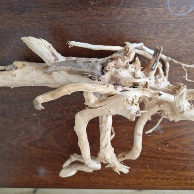 AZALEA REDMOOR ROOTS Terrarium Supplies Decorative Roots Terrarium ...