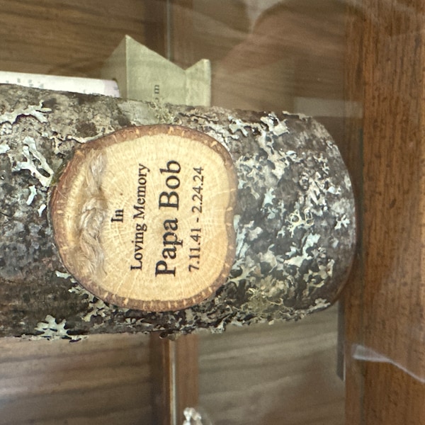 Mini Mountain Urn, Enchanted Forest Urn, Sharing Urn, Honoring the Lost ...