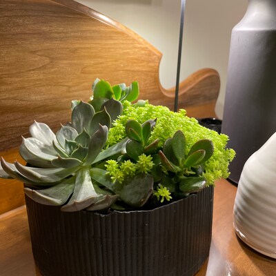 Ceramic Dinnerware Set for 2, Main Course Plates, White Modern Ceramic ...