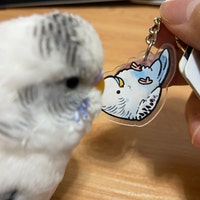 Dangling Budgie Keychain - Etsy