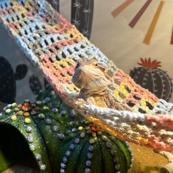 Reptile Climbing Wall Crochet Pattern by Toxicwitchweavery - Etsy