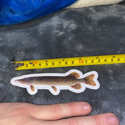 Turning Walleye Vinyl Cut Decal - Etsy