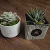 Personalized Name Definition Planter Pot | Custom Name Definition Pot ...