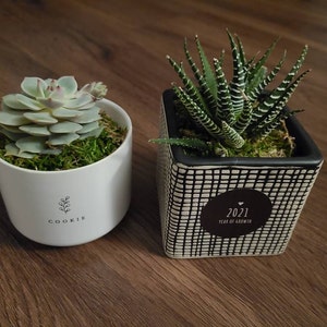 Personalized Name Definition Planter Pot Custom Name Definition Pot ...