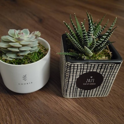 Personalized Name Definition Planter Pot Custom Name Definition Pot ...