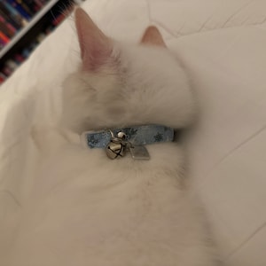 Winter Cat Collar snowflakes Frosty Blue Light Blue Snowflake Cat ...