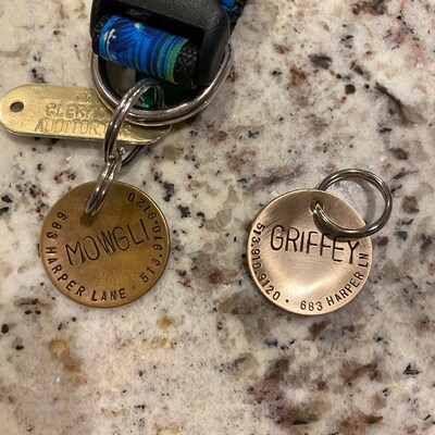 Custom Dog Tag / Custom Pet ID Tag Lucy in 1.25'' Domed Bronze ...