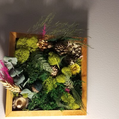 DIY Moss Art Kit Holiday Gift Unique Gift DIY Moss Art - Etsy