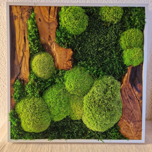 Moss Picture Ball Moss Solid Wood Frame Oiled Oak Moss Landscape - Etsy
