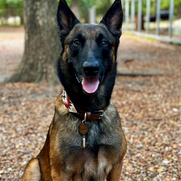 Personalized Bullet Pet Tag, Dog Name Tag, Man's Best Friend, Collar ...