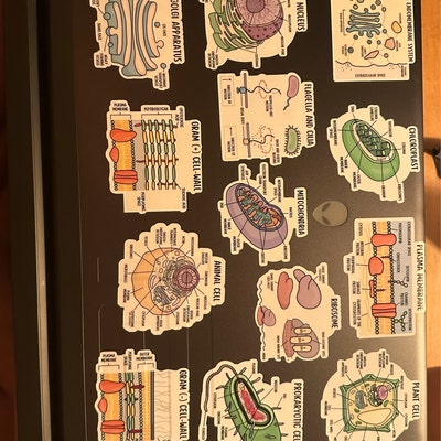 Pharmacy Pun Stickers Science, Medicine, Biochem, Nursing Water Bottles ...