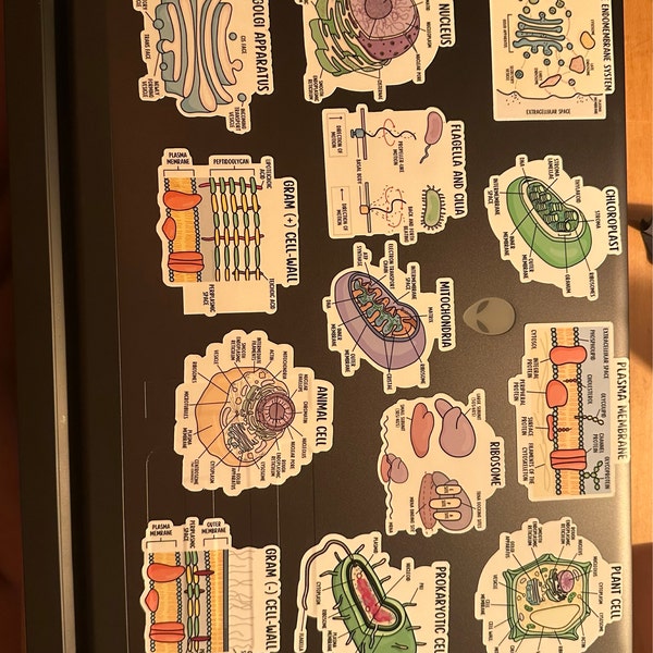 Mug Shot Sticker or Magnet Criminology, Forensics Laptops, Water ...