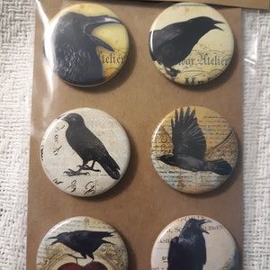 Human Anatomy Eye Optometry Magnets 1.5 Inch Round 6 Piece | Etsy