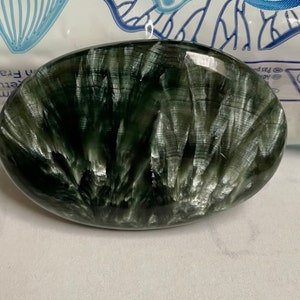 Natural Petrified Palm Root Fossil Smooth Cabochon Loose - Etsy