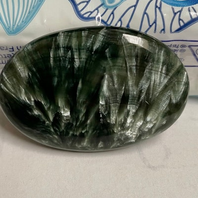 Natural Petrified Palm Root Fossil Smooth Cabochon Loose - Etsy