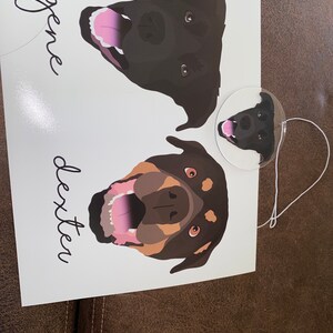 Pi Beta Phi Sticker Pack Pi Phi Sticker Pack Pi Beta Phi | Etsy