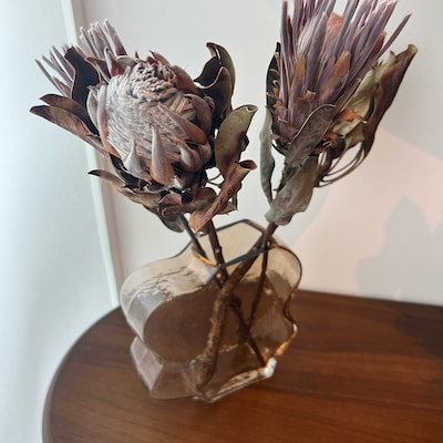 Dried Protea King Flower1 Stemsnatural Protea Stemsdry Flower ...