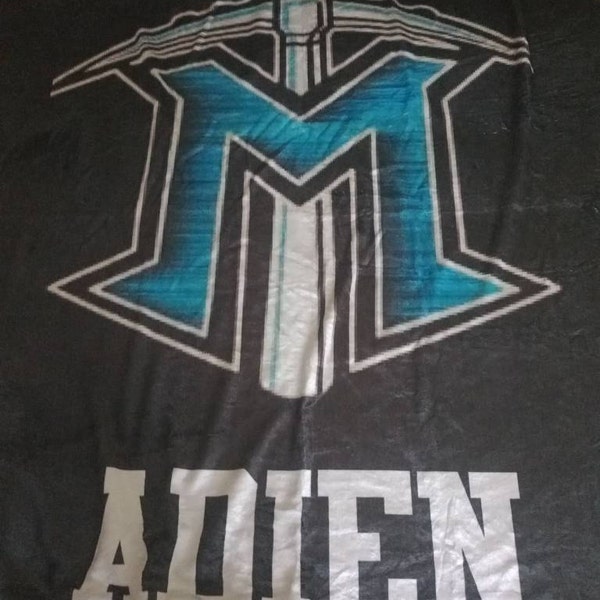 Logo Photo Blanket, Sports Fleece Blanket, Personalized Stadium Team ...