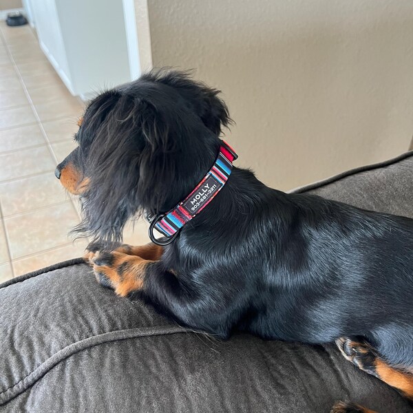 Treeline Dog Collar - Trees | Forest | Nature | Outdoors - Etsy