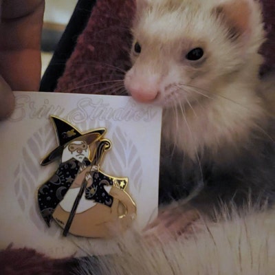 Wizard Ferret Hard Enamel Pin - Etsy