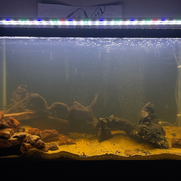 Bog Wood / Aquarium Décor / Terrarium / Reptile Tank / Aquascaping ...
