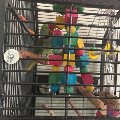 Macaw Ladder, Large Bird Toy - Etsy