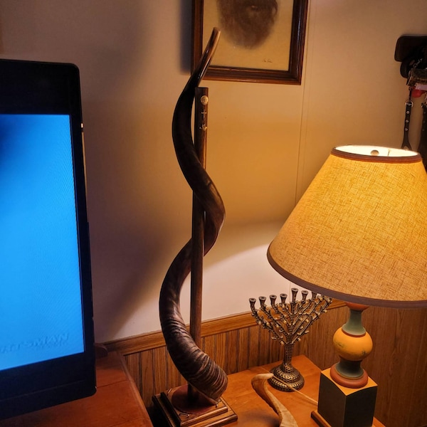 Real Oryx Horn - Genuine Gemsbok Horn Polished- Real Horns Antlers Arts ...