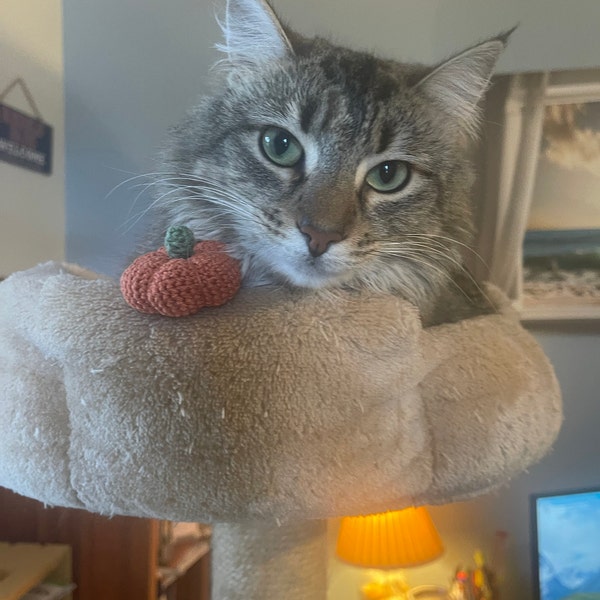 Jack Face C2C Crochet Blanket Pattern - Etsy